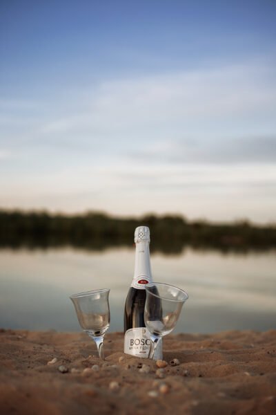 Does Alcohol Kill Spiders? - atozalcohol.com